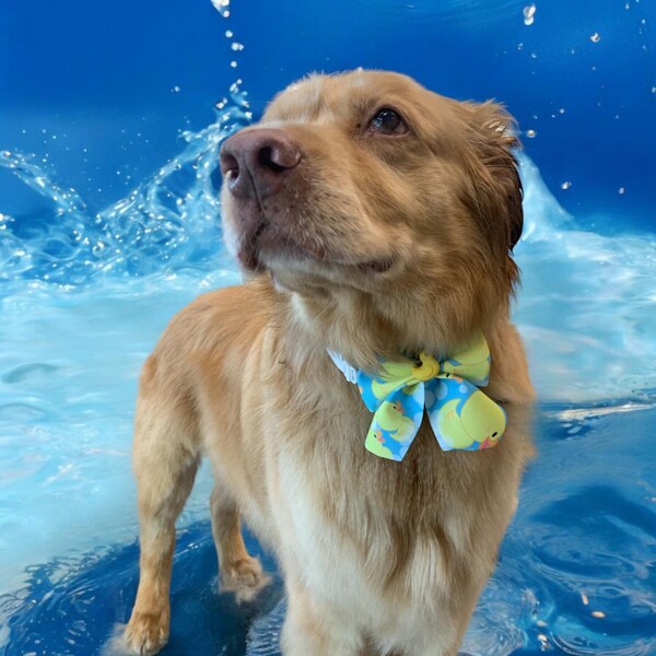 Girl Pink Elephant Baby Ribbon, Diaper Cake Ribbon, Girl Baby Shower ...