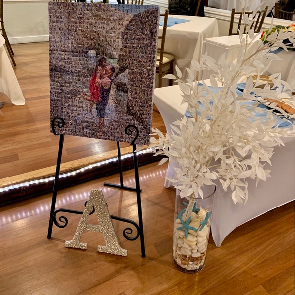 Vincent Van Gogh Starry Night Tabby Cat Framed Wall Art, Optional ...