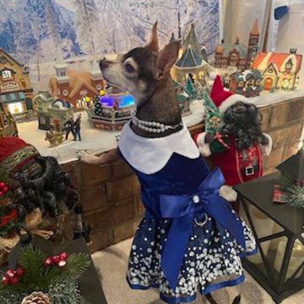 Caduceus Military GI Dog Tags Custom Aluminum Engraved Dog Tags Medical ...