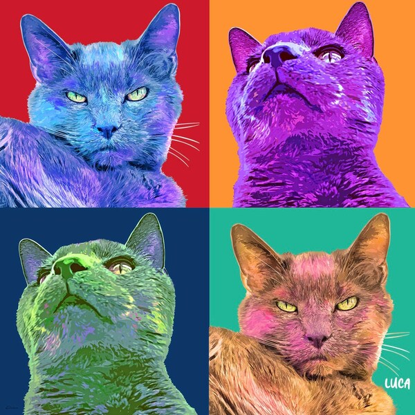Andy Warhol Custom POP ART Pet Dog Cat Portrait From Photo on Large ...