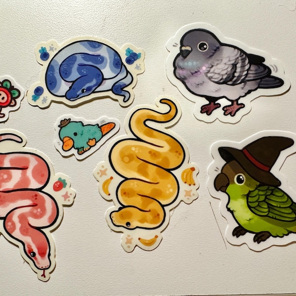 Fruit Salad Snake Clear Sticker Set: Ball Python Stickers - Etsy