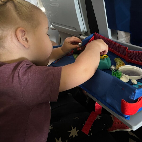 Play Dough Kit, Toddler Playdough Kit, Toddler Sensory Kit, Sensory Box ...