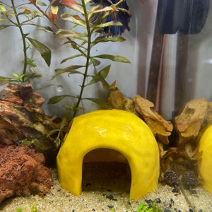 Basic Betta Fish Cave MADE TO ORDER Aquarium Rocks Fish - Etsy