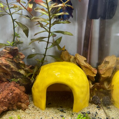 Small Fish Hide MADE TO ORDER Betta Fish Cave Small Aquarium Decor Fish ...