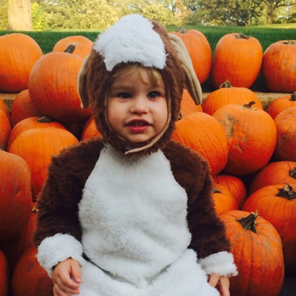 Pre-order Rainbow Sprite Bag - Etsy