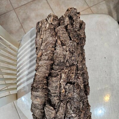Cork Bark Rounds 2 Lbs Animal Hides in a Terrarium / Vivarium - Etsy