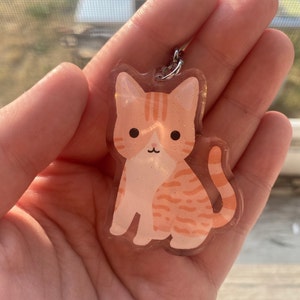 Gestroi Isopod Roly Poly Insect Bug Keychain Cartoon Chibi - Etsy