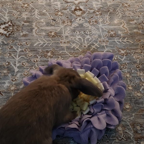 Blue Flower Snuffle Mat for Rabbits, Guinea Pigs, Dogs and Other Pets ...