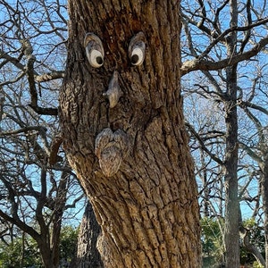 Mr. Grumpy Stump Tree Face Fun Birthday Gifts Made in - Etsy Canada