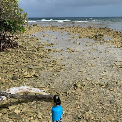 Private Pilot Wings full Color Decals PPL License, CFI Instructor ...