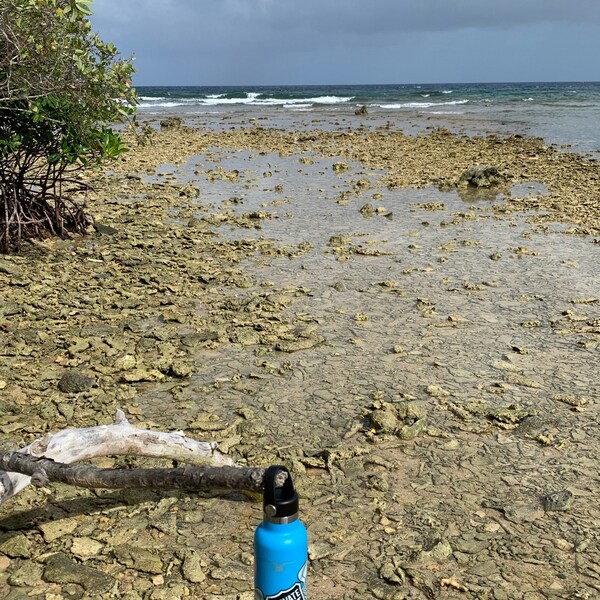 Private Pilot Wings [full Color Decals] PPL License, CFI Instructor ...