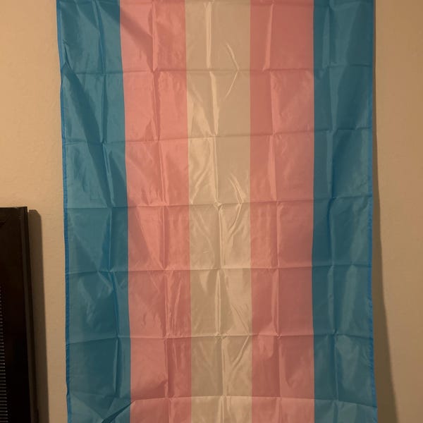 Transgender Pride Flag 3x5 Feet - Etsy