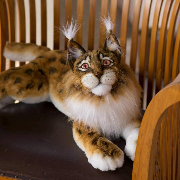 Handmade Realistic Black Cat Plush: Poseable Persian Cat Lover Gift ...