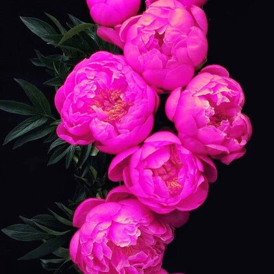 How to Work With Obatala: Orisha Altar Guide Printable - Etsy