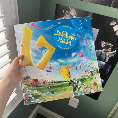 Personalized Vinyl Record Sleeve or Jacket With Your Photos Perfect for ...