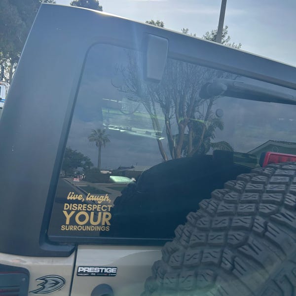 Stick Figure Flipping off Vinyl Decal - Etsy