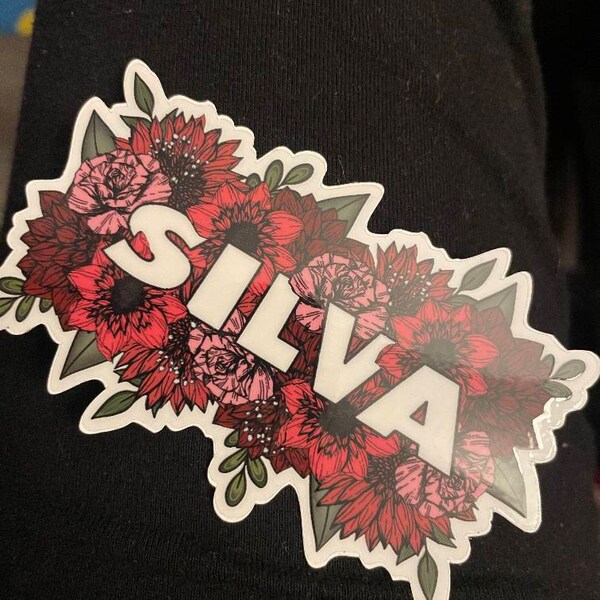 SKZ Bookshelf CLEAR Vinyl Stray Kids Merch, SKZOO Waterproof ...