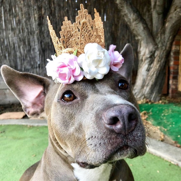 Princess Pet Birthday Crown Gold Lace Crown for Dogs and Cats Adeline ...