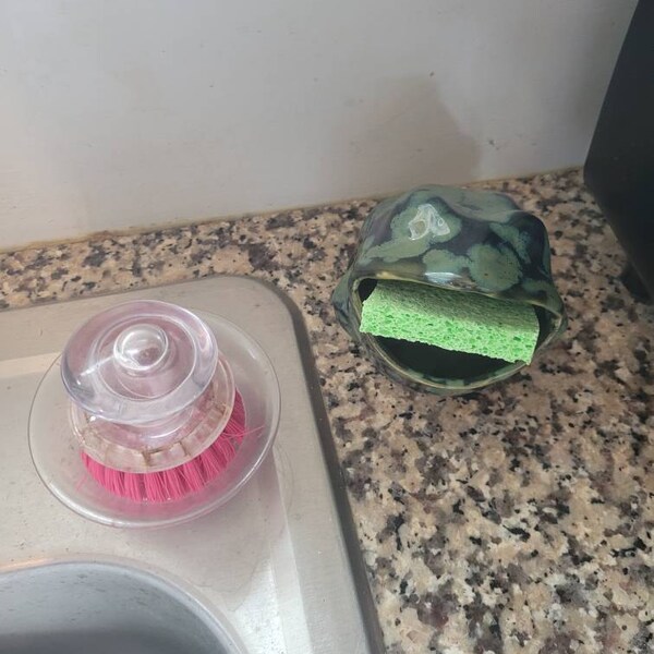 Ceramic Algae Frog Scrubby Holder Vintage Inspired Pottery! Just Like ...