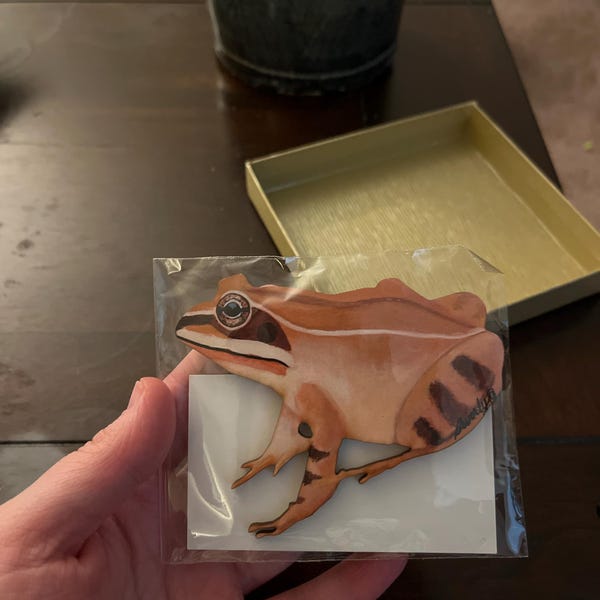 Toad Replica of American Southern (grey Phase) Toad Refrigerator Magnet ...