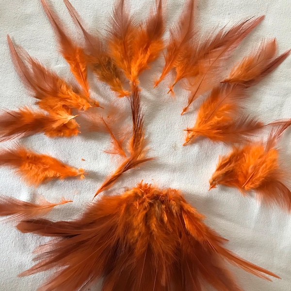 50 Pcs+ - Rooster Saddle Feathers - 2 Inch Strip - Two-tone, Pointy Tip ...