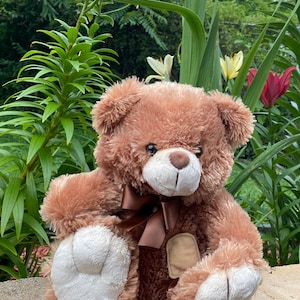 Ostomy Bear, Ostomy, Teddy Bear, Pediatric, Ostomy Teddy Bear ...