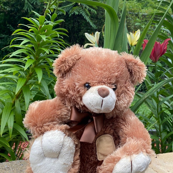 Ostomy Bear, Ostomy, Teddy Bear, Pediatric, Ileostomy, Surgery ...