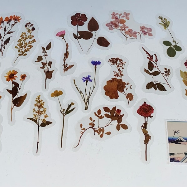 Dried Flowers Sticker Set, Pressed Wildflowers Stickers, Wild Flower ...