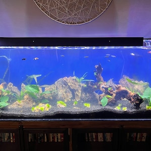 65 Gallon Aquascape Decor SOUL CANYON Aquarium Dragon Rocks - Etsy