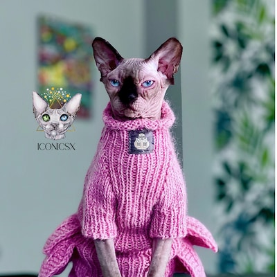 Cat Hat Hand Knit Pet Beanie Sphynx Cat Accessories Crochet Hat for ...