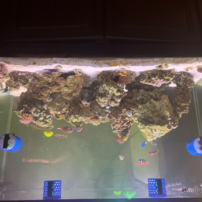 Nano Frag Table 2pac / Two Included Freestanding Frag Rack With Screw ...