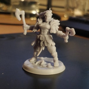 Masked Fighter Female Galaad Miniatures Fantasy Dungeons - Etsy