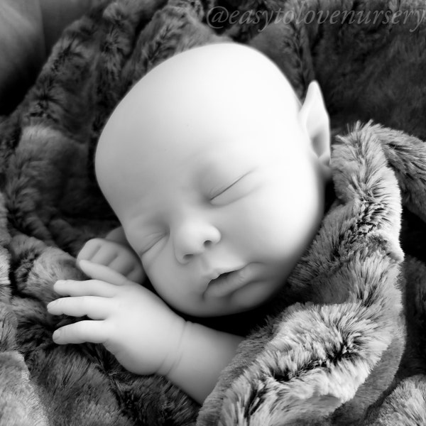 Shaylee Fairy Reborn Kit 10 Year Anniversary SPECIAL Edition 19" Blank ...