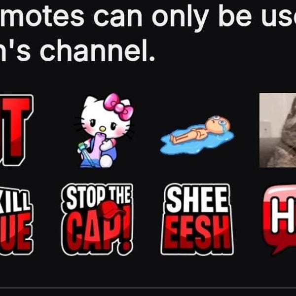 Crying Puddle · Animated Emote · Twitch · Discord - Etsy