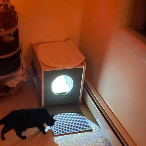 Cozy Paws - Cat Bed - Etsy