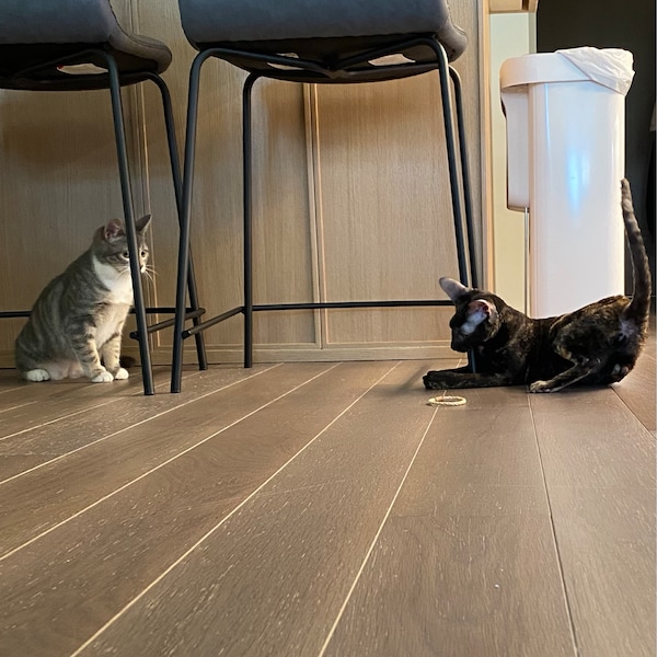 Twist Tie Toy, Natural Cat Toy, Cat Toss Toy, Twistie Toy, Toys for ...