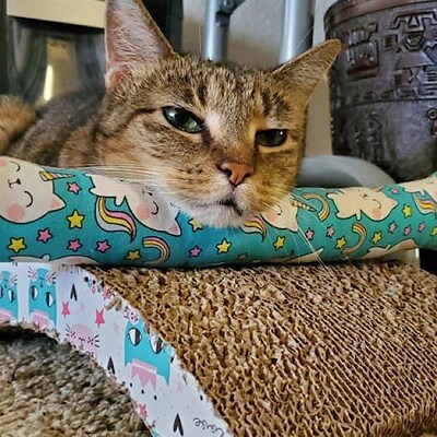 Sir Reginald Kick Stick Cat Toy Organic Catnip Kicker Toy - Etsy