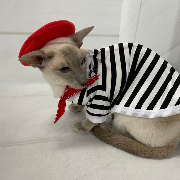 Complete French Cat Outfit- Cat Beret, Ascot and Striped Shirt Pet ...