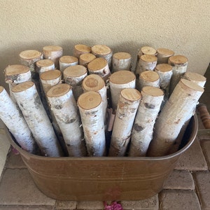 Birch Bundle of Logs 10 Free Shipping - Etsy