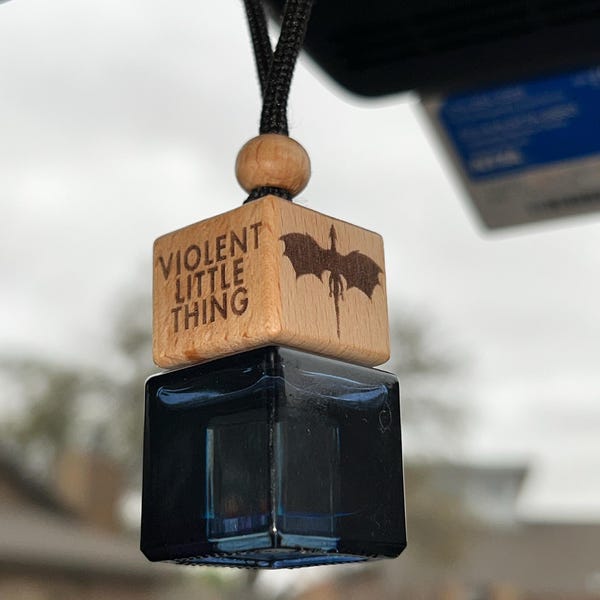 Hot Girls Hit Curbs Car Freshener Hanging Car Diffuser Black Gift for ...