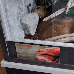 Reptile Enclosure Labels Bearded Dragon Information Sticker Glossy ...