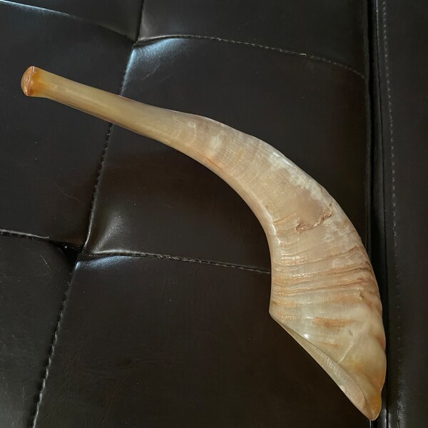 Jewish Shofar Ram Horn 10-12inch / 25-30 Cm - Etsy