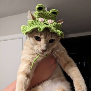 Adjustable Cute Crochet Soft Ribbon Kitten Collar Pet Costume Cat ...