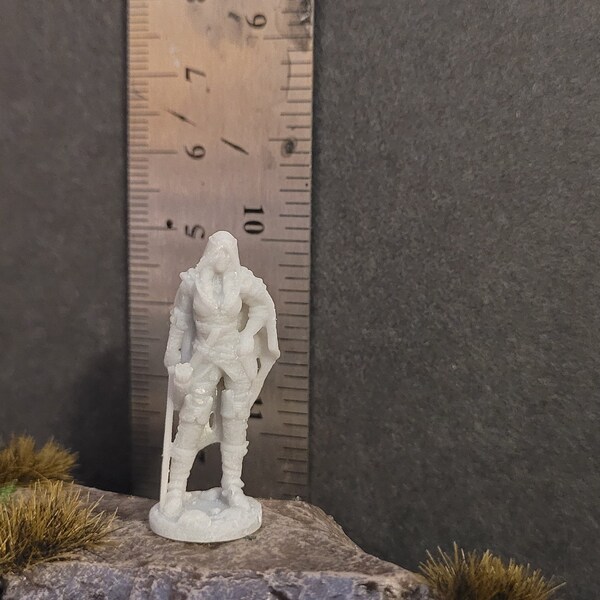 Red the Hooded Lycan Slayer - Wargaming Miniatures Rocket Pig Games D&D ...
