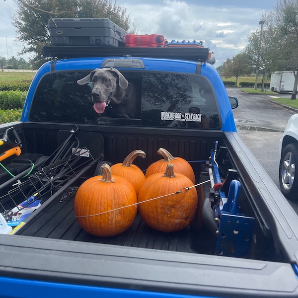 Working Dog - Stay Back Temperature Controlled and Monitored Decal Dog ...