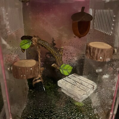 3D Printed Magnetic Acorn Spider Hide Upgraded Sling Acorn Magnets - Etsy