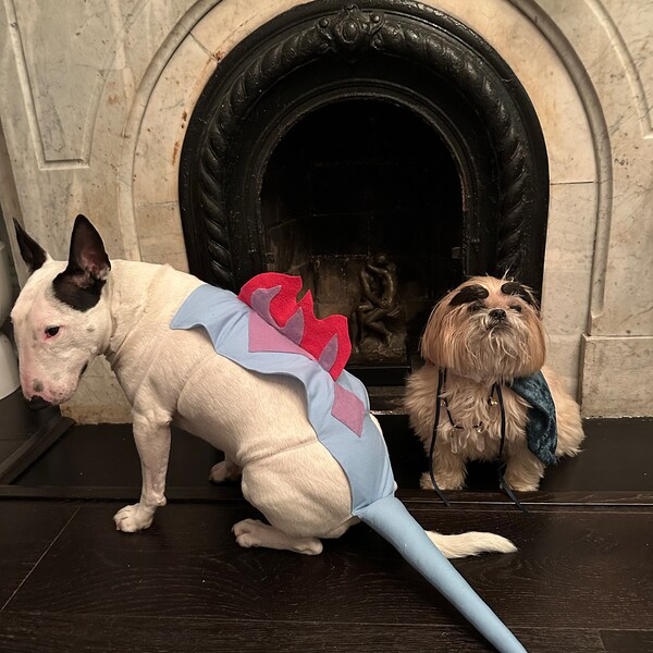 Toothless Tail. How to Train Your Dragon. Black AND Red Fins. Dragon ...