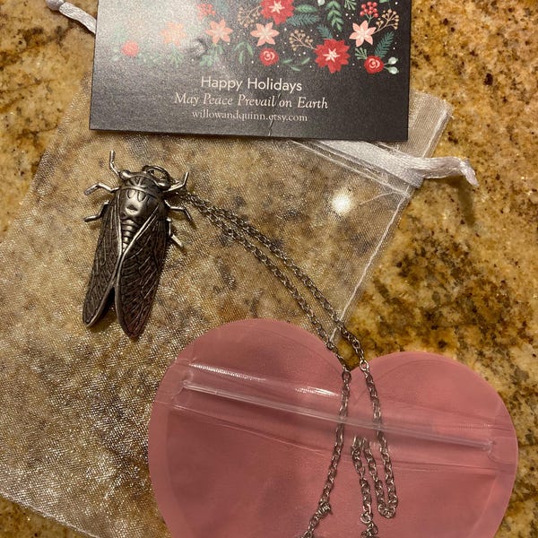 Silver Cicada Locket Necklace: Hidden Compartment Bug Pendant - Etsy