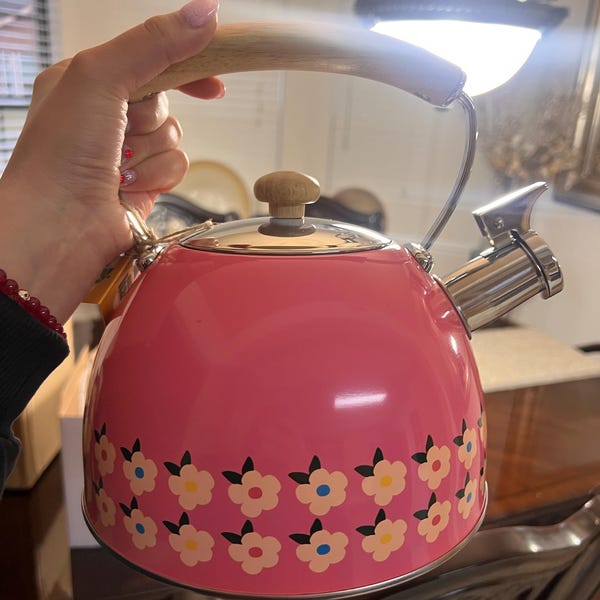 Honey Yellow Whistling Kettle: Floral Stainless Steel Tea Pot (2.5L) - Etsy