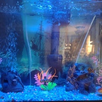 Blue Foral Leaves Pattern Modern Design Refrigerator Fridge Freezer ...